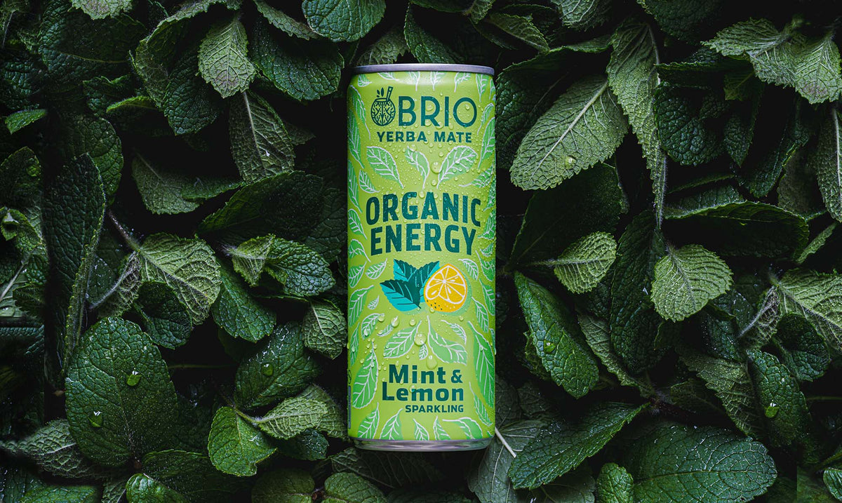 BRIO Organic Energy Tea Mint & Lemon 250ml | Planet Organic