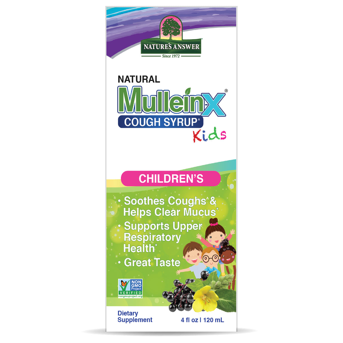 Nature's Answer Kids Mullein-X Cough Syrup 120ml | Planet Organic