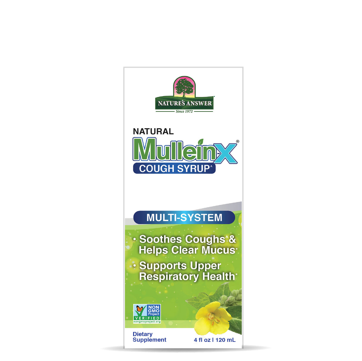 Nature's Answer Mullein-X Cough Syrup 120ml | Planet Organic