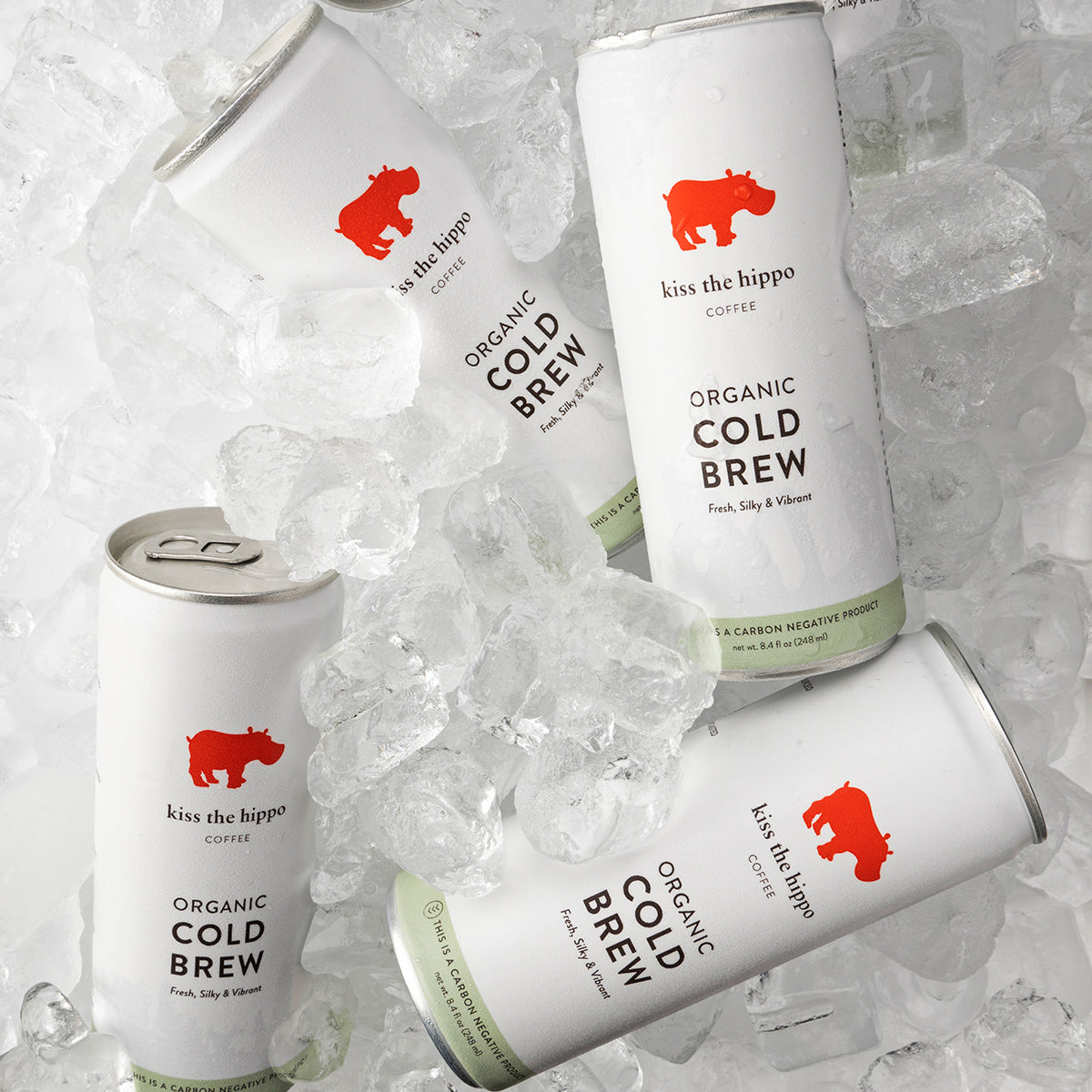 Kiss the Hippo Coffee Organic Cold Brew Can 250ml | Planet Organic