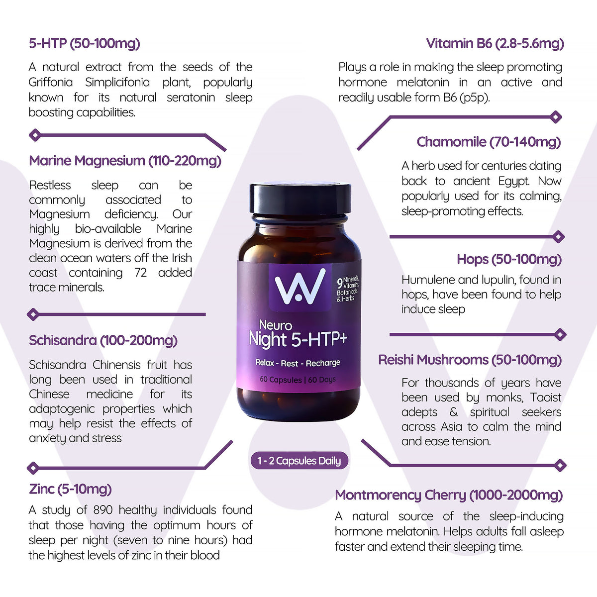 Well. Actually. Neuro Night 5-HTP+ 60 Capsules | Planet Organic
